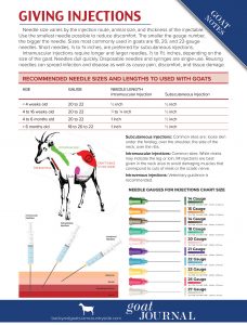 Giving Injections - Goat Journal